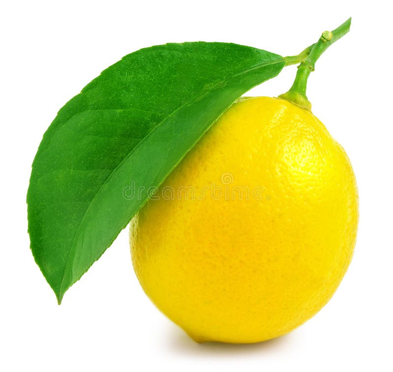 Lemon with Leaf Isolated on White Stock Photo - Image of piece, full ...