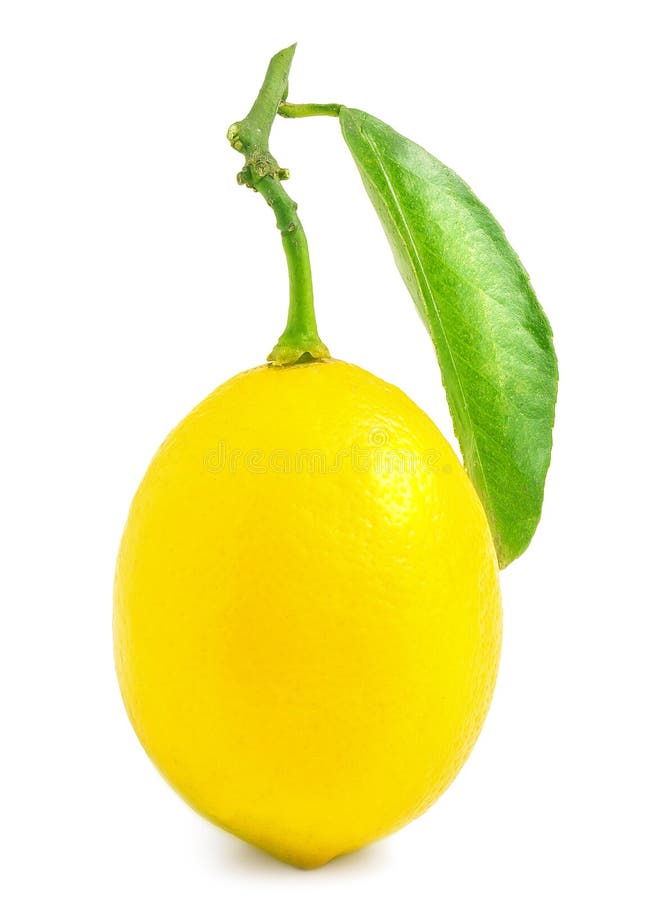 Lemon with Leaf Isolated on White Stock Photo - Image of plant, leaf ...