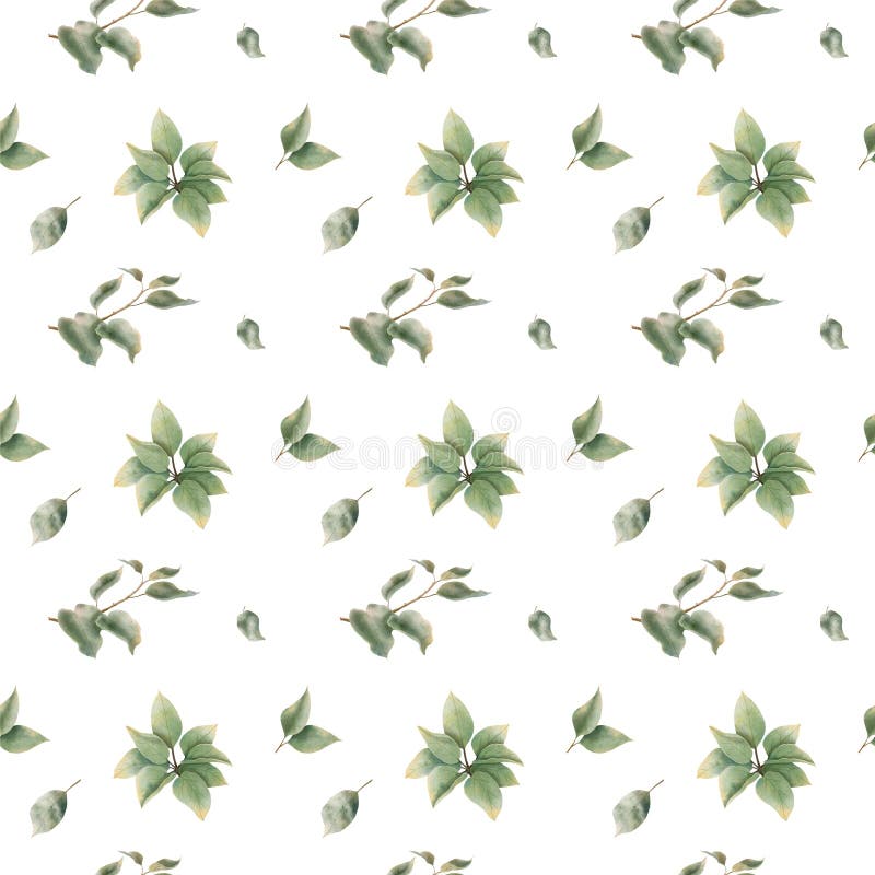 Lemon Leaf Seamless Pattern. Leaves, Branches of Lemon Stock ...