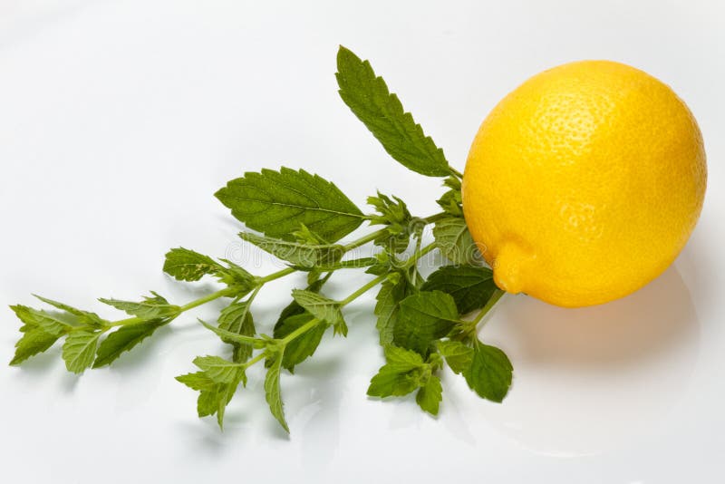 Yellow lemon stock photo. Image of isolated, lemon, herb - 50589538