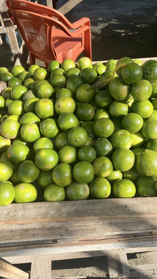Lemon Sold in a Popular Fair Stall Stock Image - Image of mercado ...