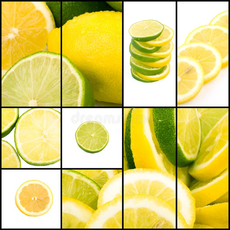 Lemon and lime collage stock photo. Image of white, slice - 13599654