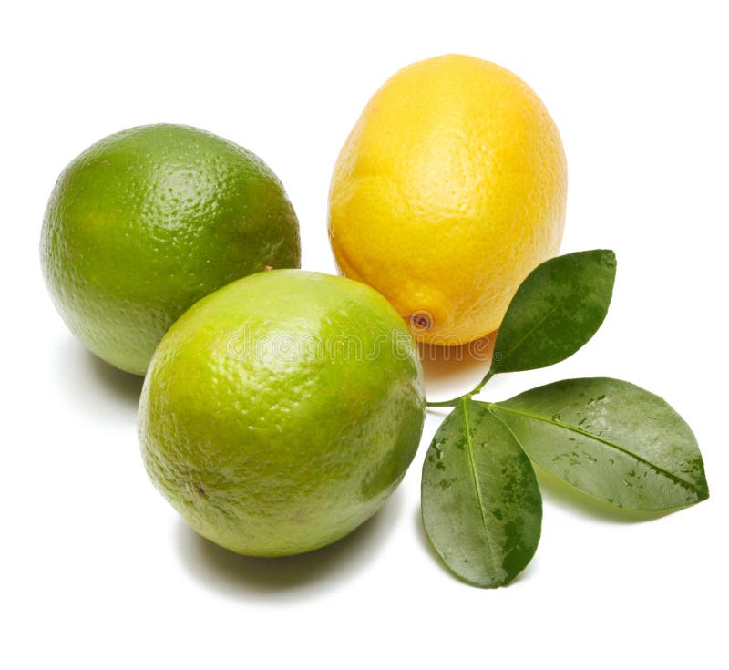 Lemon, lime and leaf stock image. Image of ingredient - 17062277