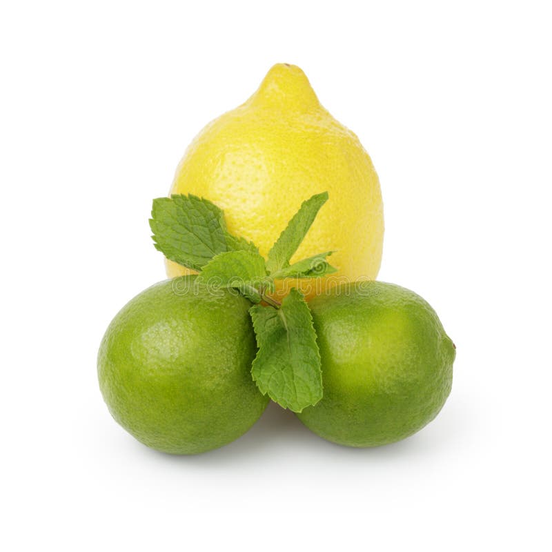 Lemon, Lime and Mint Leaves Stock Photo - Image of fresh, juicy: 37814958