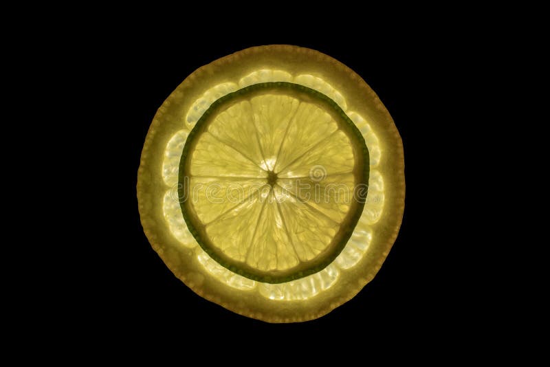 Lime segments fanned out stock photo. Image of healthy - 15692052