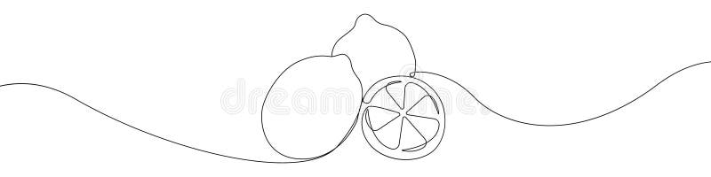 Lemon Linear Hand Drawn Vector Icon. Vector Continuous One Line ...