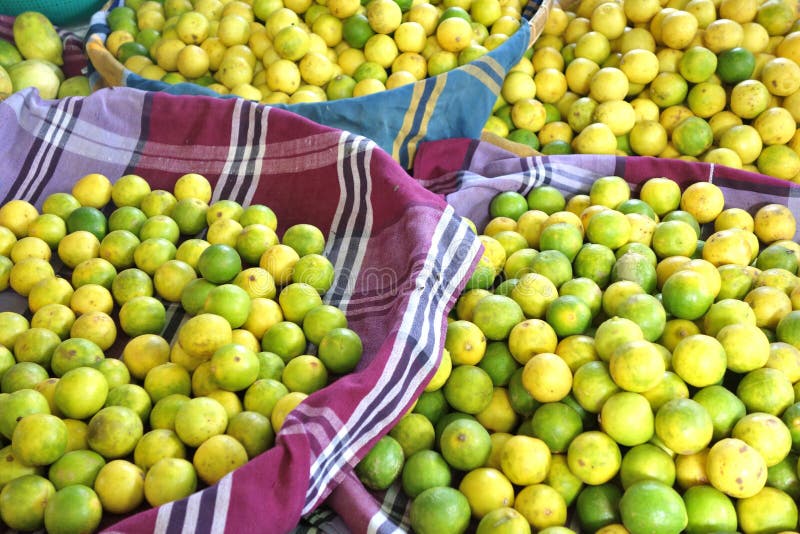 Lemon stock image. Image of bright, closeup, basket, green - 67899933