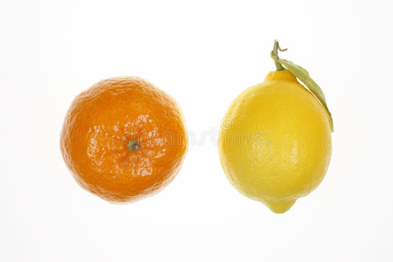 Lemon and Mandarin stock photo. Image of isolated, fruit - 2629856