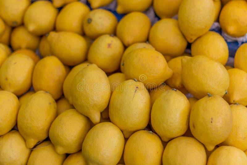 Lemon in market stock photo. Image of lime, bench, citrus - 56544356