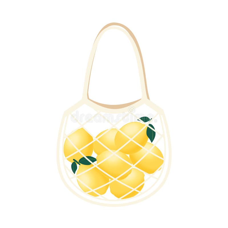 Lemon in mesh bag stock vector. Illustration of string - 284702798