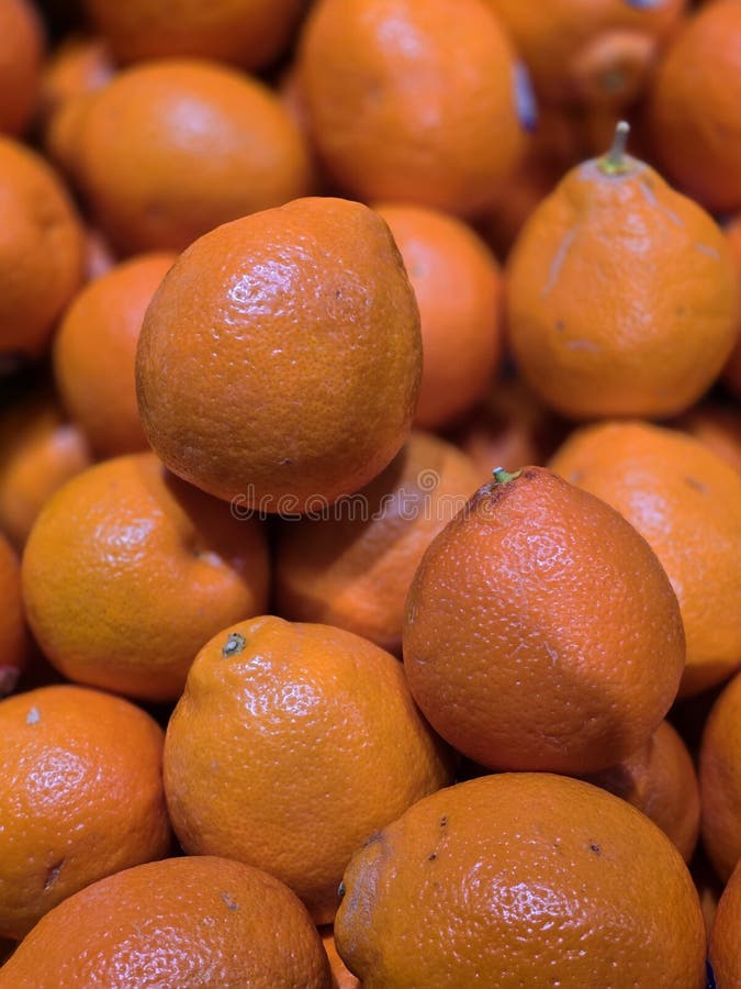 The Lemon Meyer, Lemon Fruit with Orange Color Stock Photo - Image of ...
