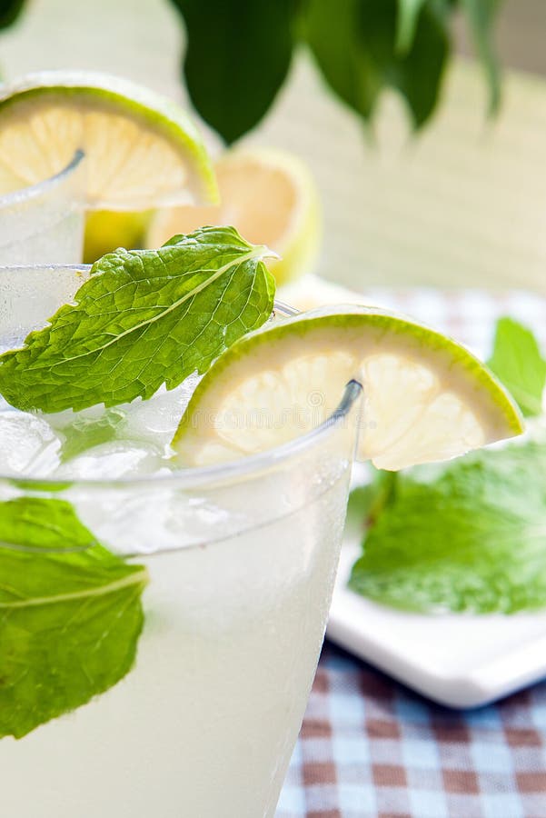 Lemon and mint stock photo. Image of pure, lemon, tall - 26687878