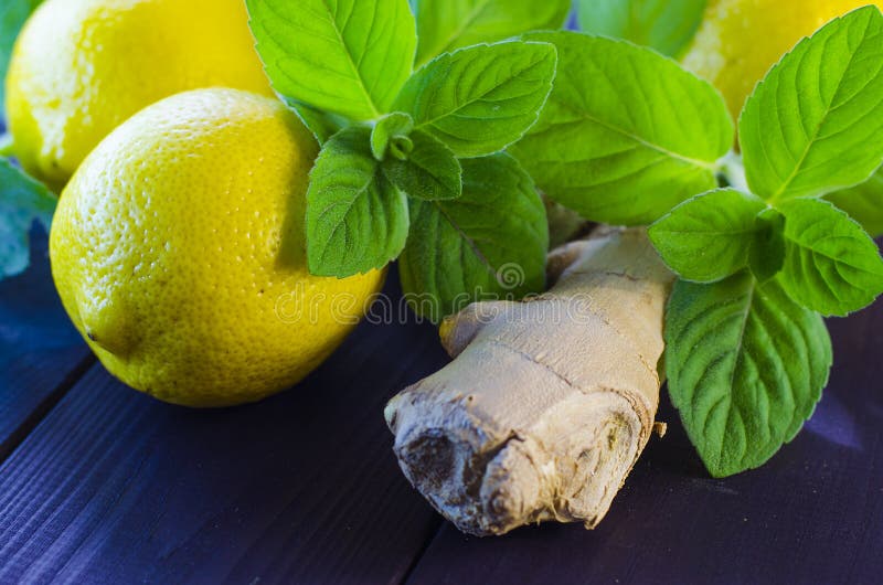 Lemon, mint and ginger stock photo. Image of fruit, root - 93890030