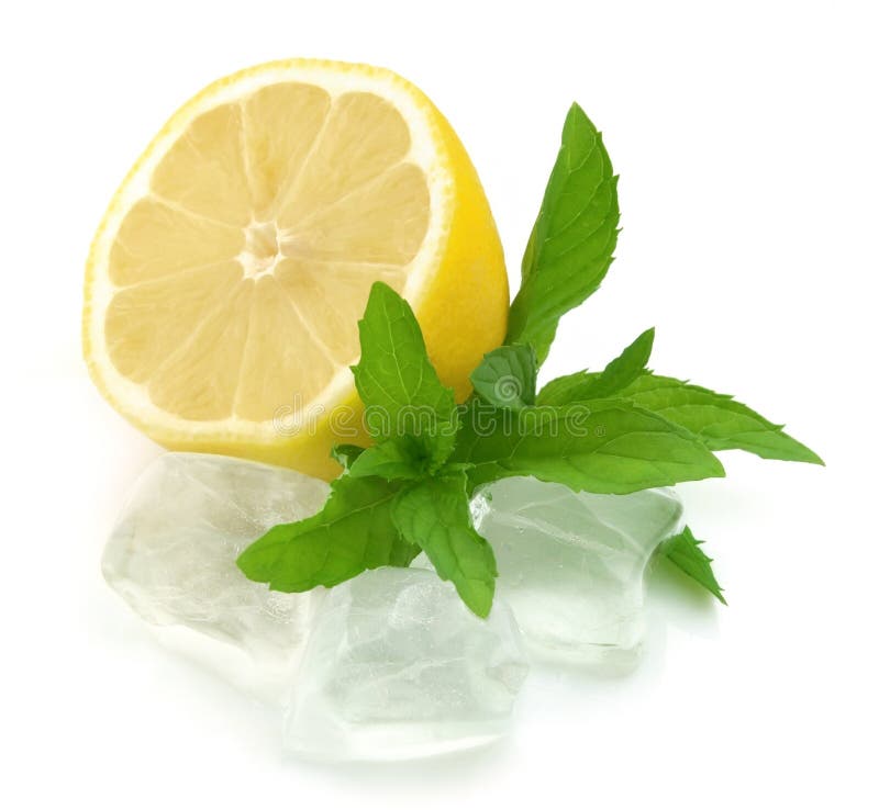 Lemon with mint and ice stock photo. Image of dessert - 20014720
