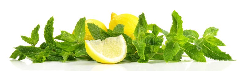 Lemon and Mint Panorama Isolated on White Background Stock Photo ...