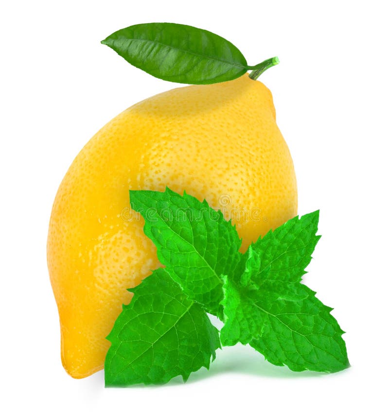 Lemon with mint stock image. Image of lemons, juicy, mint - 46988319