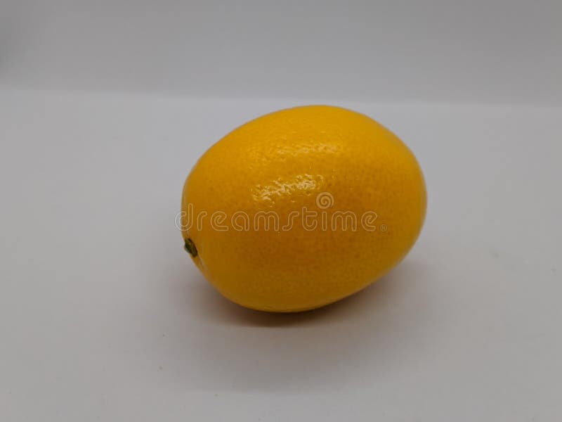 Lemon. One Lemon on a White Background Side View Stock Image - Image of ...