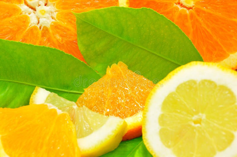 Lemon and orange stock photo. Image of slice, salad, ripe - 25646768