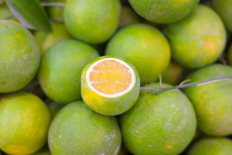 Lemon and orange stock image. Image of fruit, yellow - 25822941