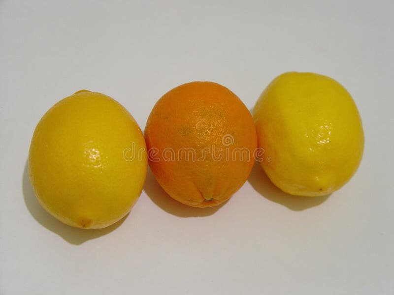 3,108 Same Size Stock Photos - Free & Royalty-Free Stock Photos from ...