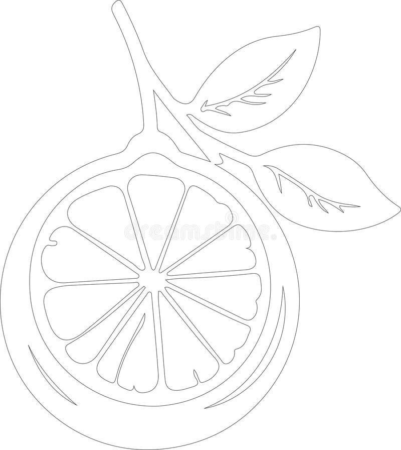 Lemon Outlines Stock Illustrations – 407 Lemon Outlines Stock ...