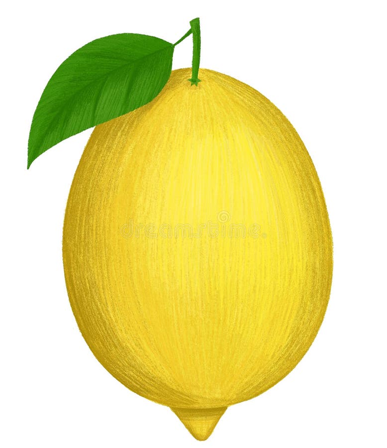 Lemon Pencil Illustration Isolated on White Stock Photo - Image of ...