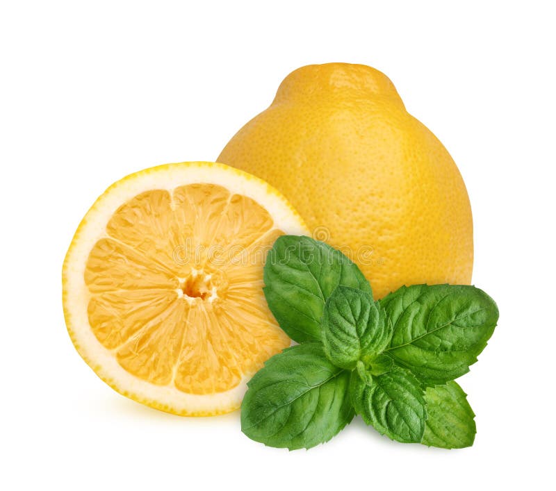 Lemon and Peppermint Leaf, Isolated on a White Background. Stock Photo ...