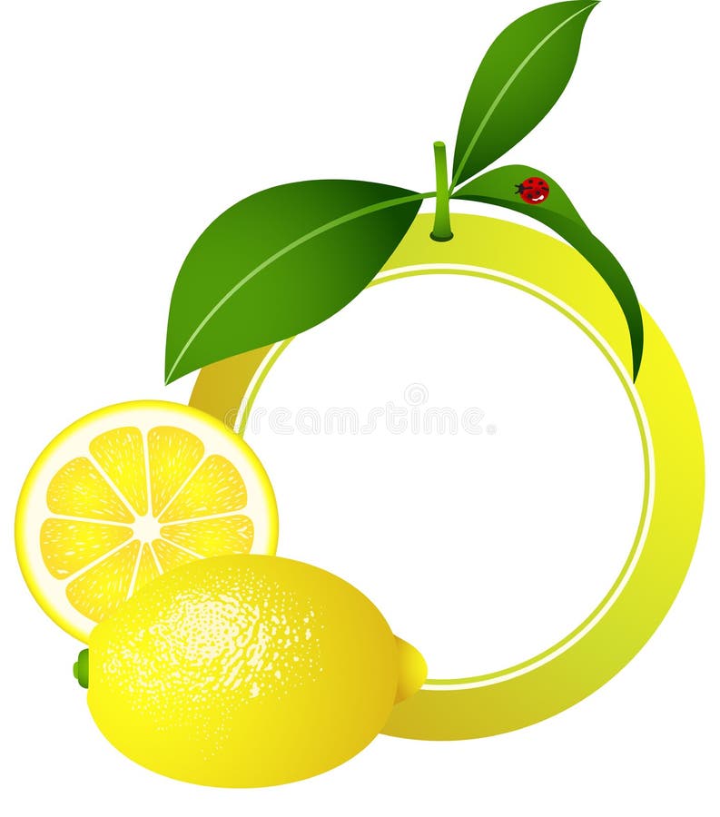 Lemon Photo Frame stock vector. Illustration of snack - 59950437