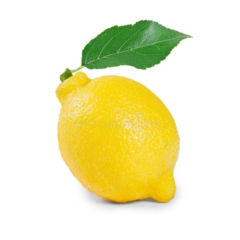 Lemon stock image. Image of ripe, green, lemon, isolated - 28272817