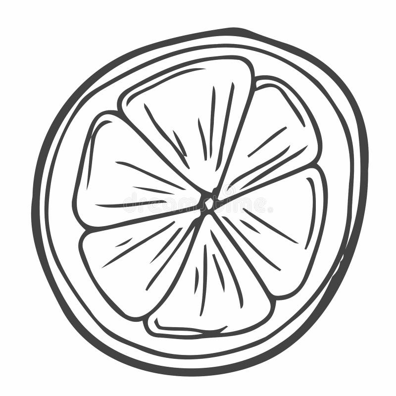 Lemon Round Slice Line Icon Vector Illustration. Hand Drawn Outline One ... Lemon Round Slice Line Icon Vector Illustration. Hand Drawn Outline One ...