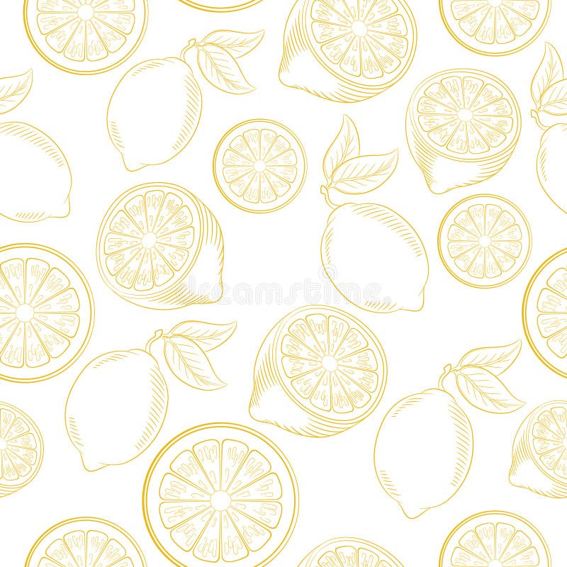 Vector Seamless Decorative Horizontal Border of Lemon Slices Stock ...