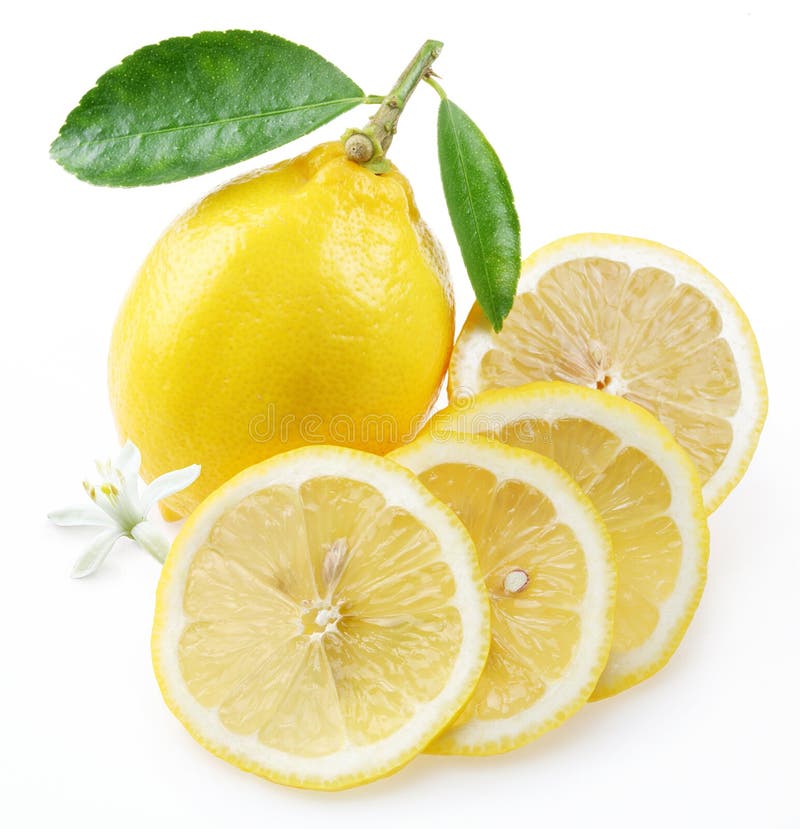 Fresh lemons stock photo. Image of fruit, citrus, flower - 26099912