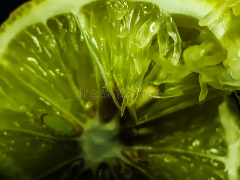Lemon Seeds and Lemon Juice in Half Cut Lemon and it is Green in Color ...