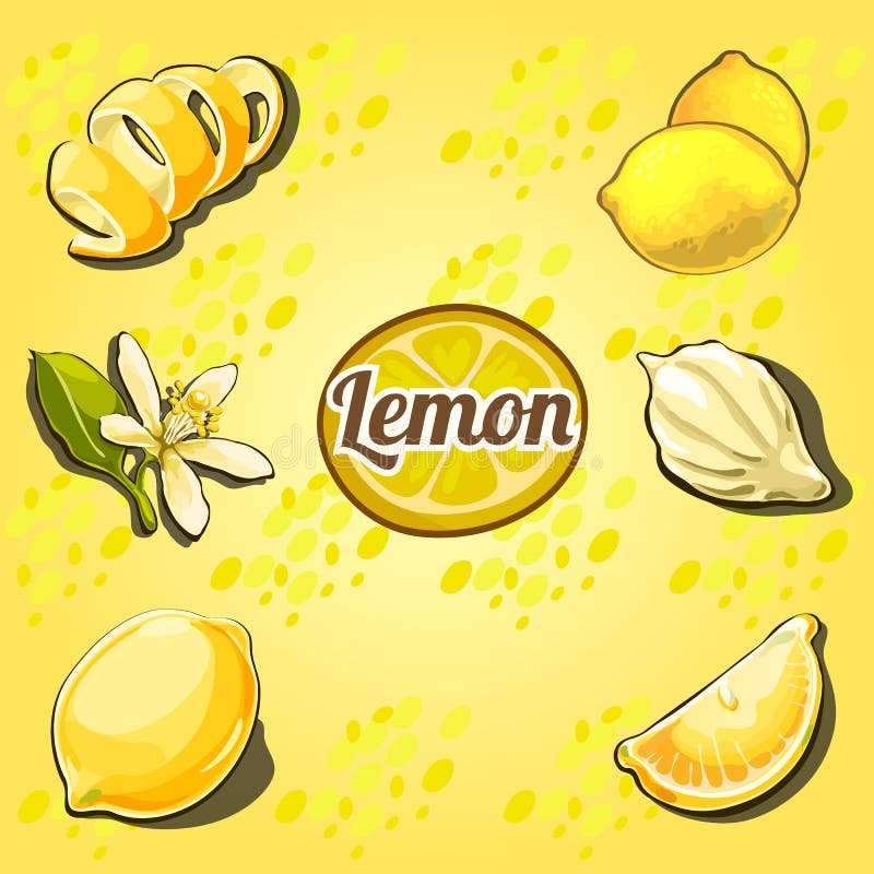Lemon Set, the Fruit Drawn from Different Angles Stock Vector ...