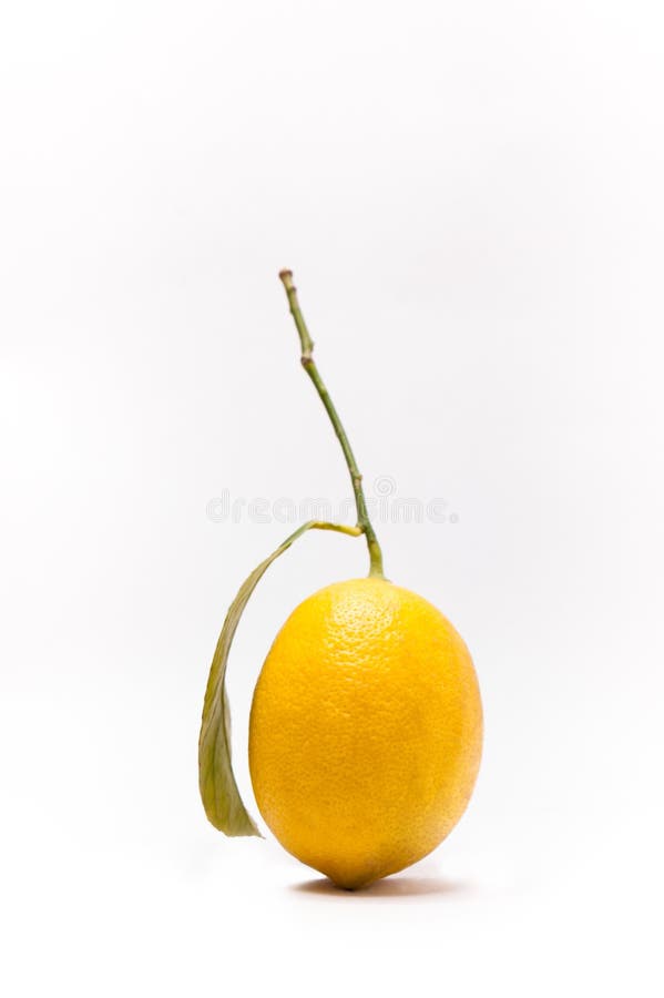 Lemon stock photo. Image of objects, color, nutritive - 39344268