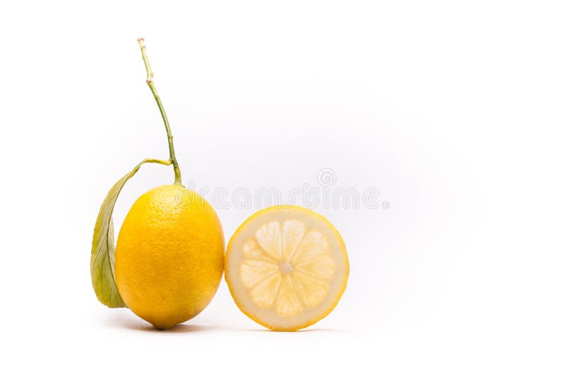 Lemon stock image. Image of healthy, green, organic, lifestyle - 39344303