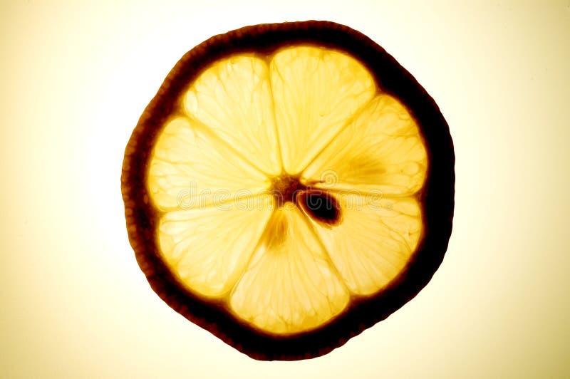 Lemon slice stock photo. Image of slice, refreshment - 13023374