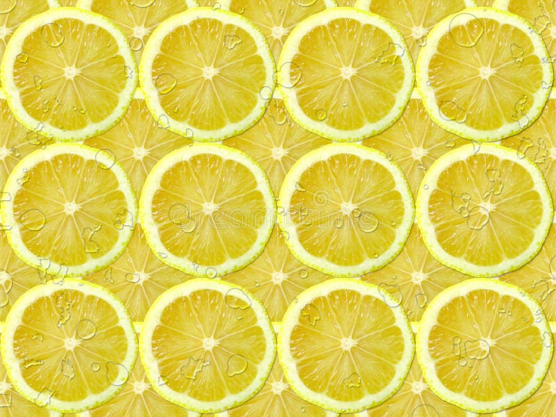 Lemon slice stock image. Image of drink, quench, ingredient - 1325313