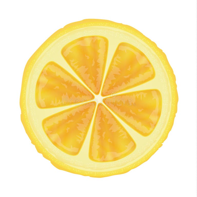 Texture Lemon Skin Stock Illustrations – 1,376 Texture Lemon Skin Stock ...