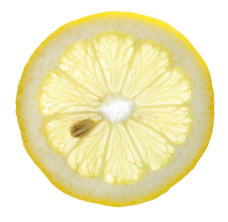 Lemon Slice stock photo. Image of path, objects, bitter - 3829540