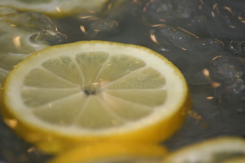 Lemon Slice Free Stock Photos & Pictures, Lemon Slice Royalty-Free and ...