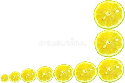 Lemon slice border stock photo. Image of frames, border - 29314532