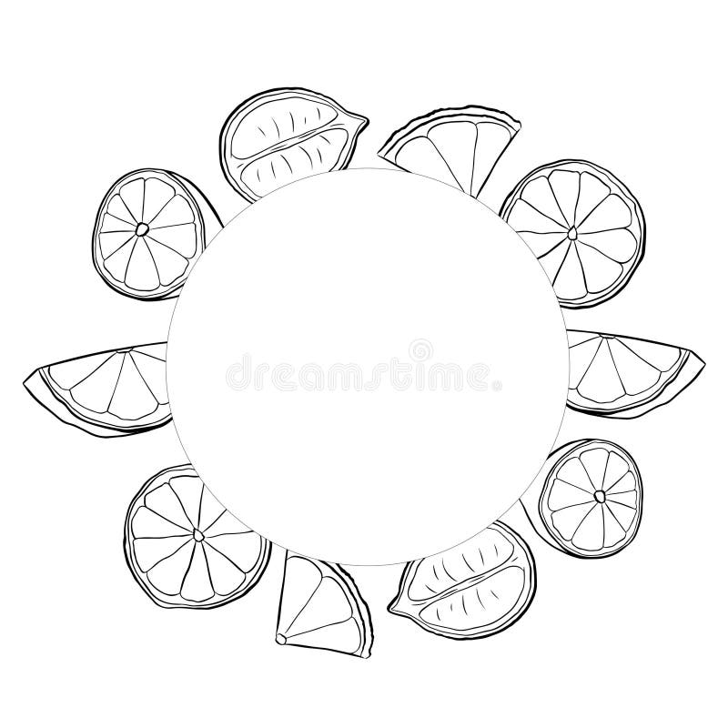 Lemon Slice Circle Round Frame Fruit Hand Drawn Design. Vector Graphic ...