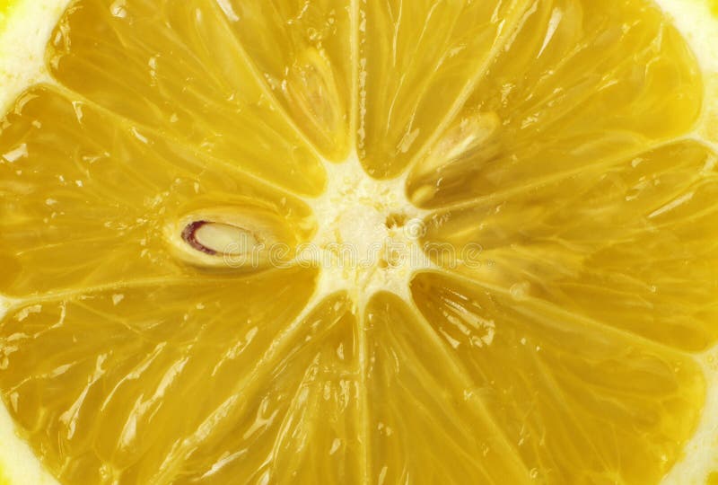 Cross-section of lemon stock image. Image of eating - 118059905