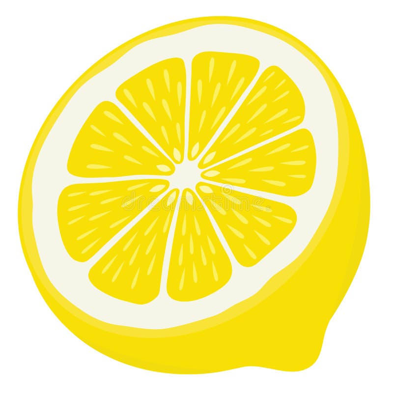Lemon Half Slice Isolated on White Background Stock Vector ...