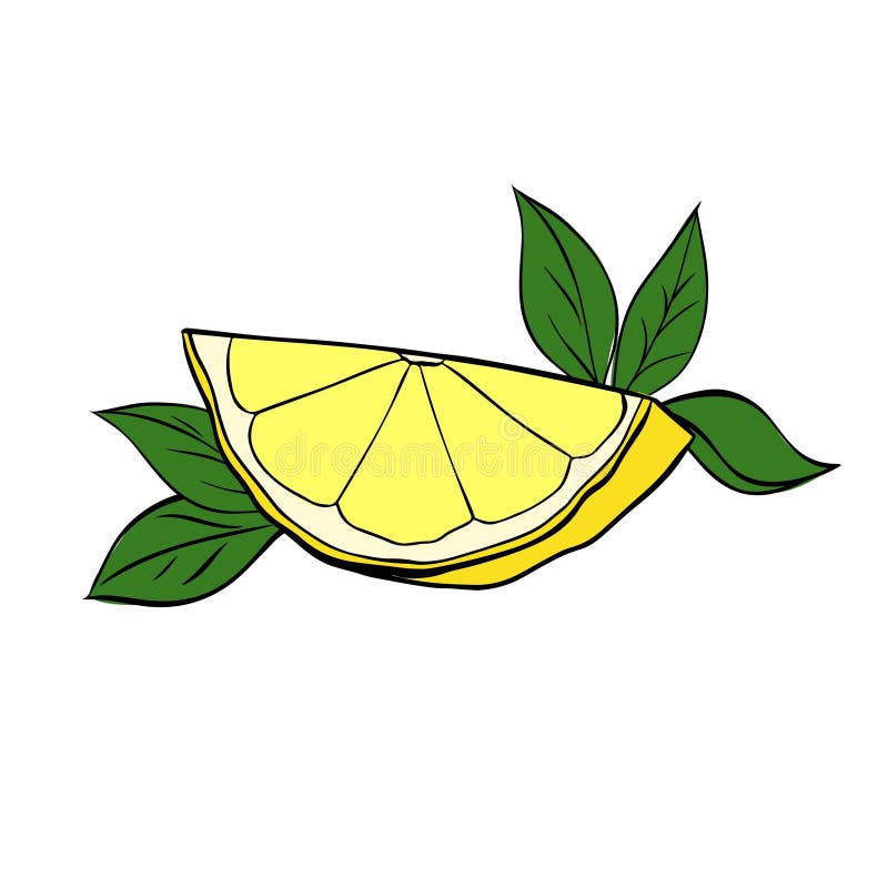 Lemon Slice with Leaves Graphic Line Ink Composition. Vector Isolated ...
