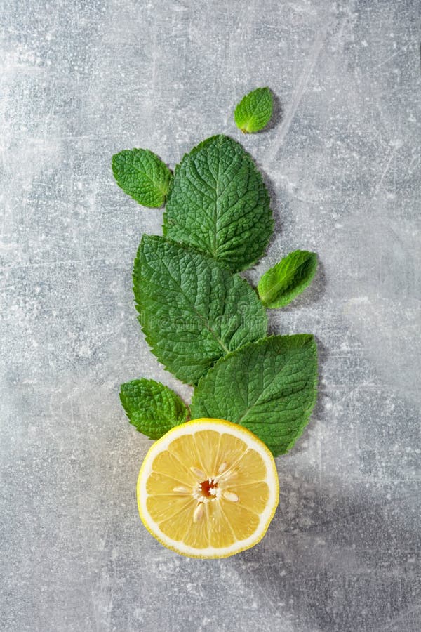 Lemon slice and mint stock image. Image of ingredient - 260024749