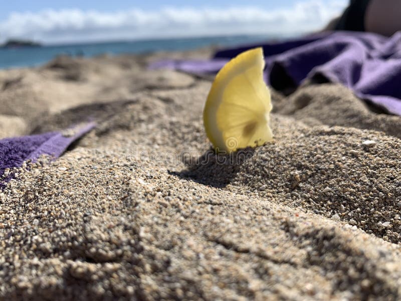 Lemon Slice stock photo. Image of sand, fruit, sliced - 352889040