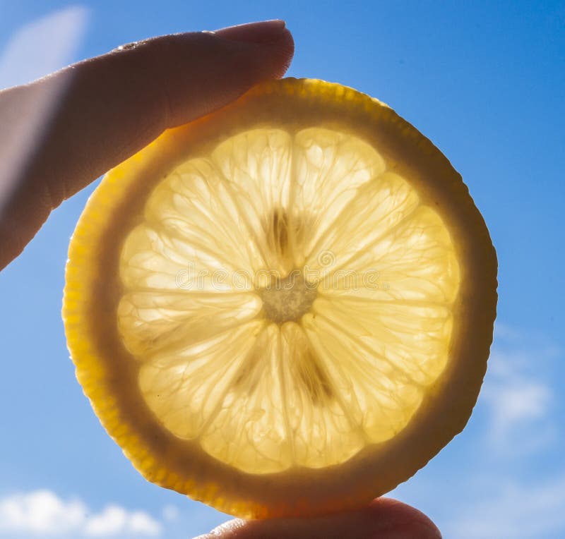 Lemon Slice in the Sun stock photo. Image of healthy - 78944330