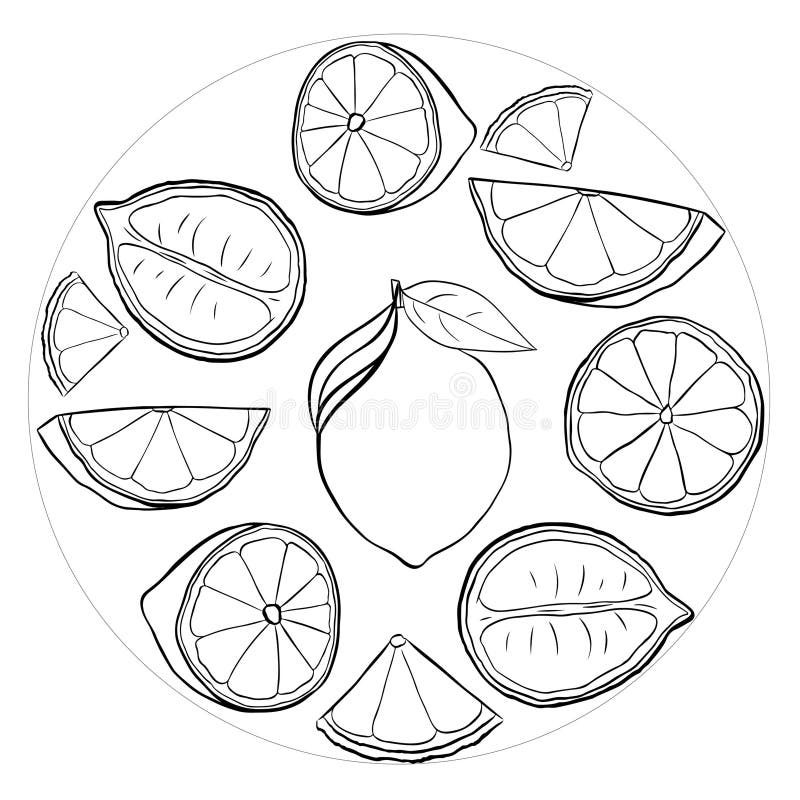 Lemon Slices Circle Round Composition. Vector Black and White Graphic ...